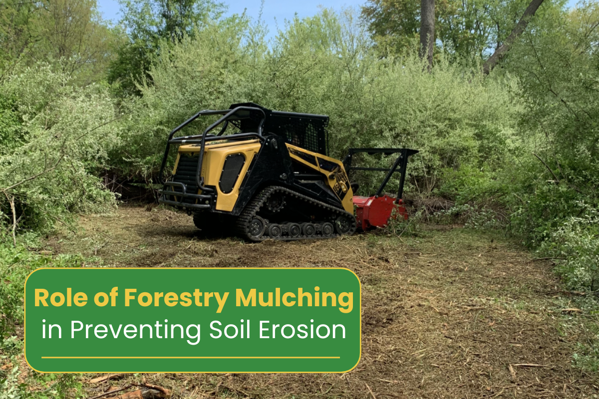 Forestry Mulching for Erosion Control in Land Clearing Projects